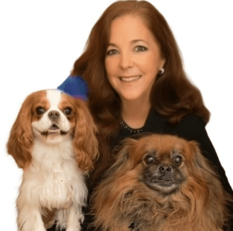 About Us - WagWay Group